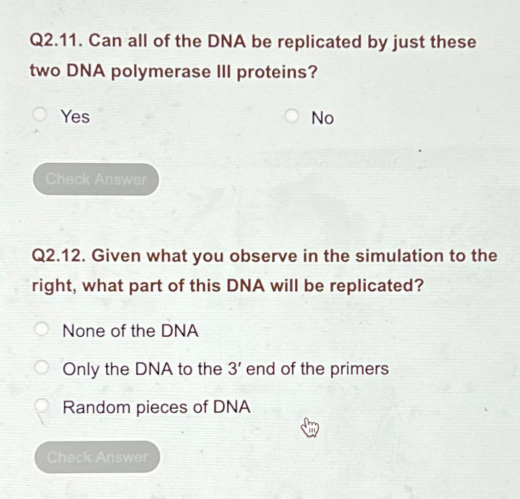 Solved Q2.11. ﻿Can all of the DNA be replicated by just | Chegg.com