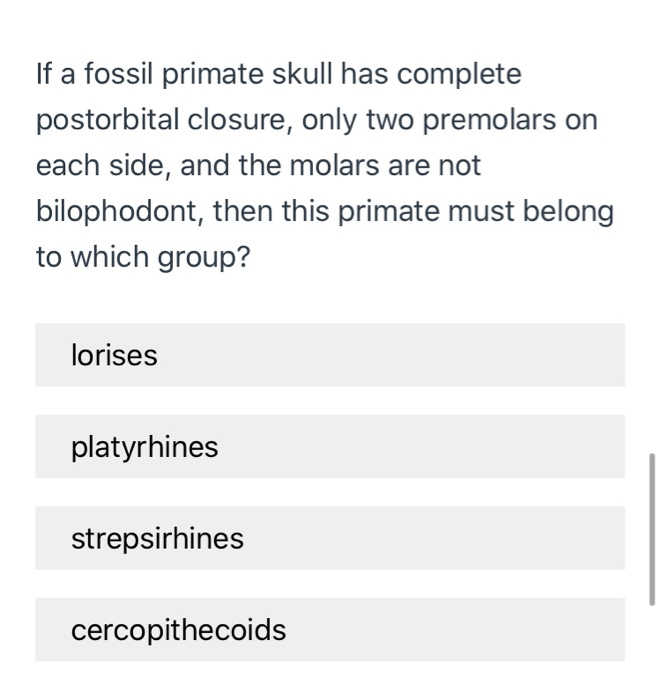 Solved Both baboons and chimpanzees have postorbital | Chegg.com