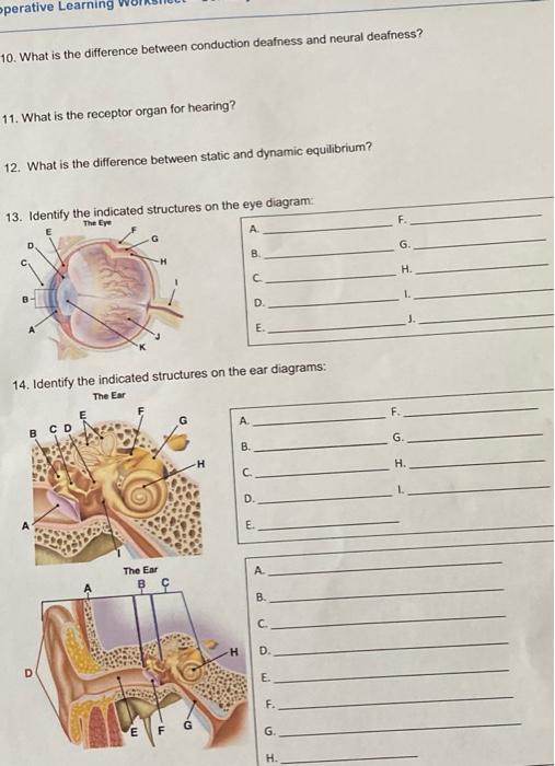 Solved Operative Learning 10. What is the difference between | Chegg.com