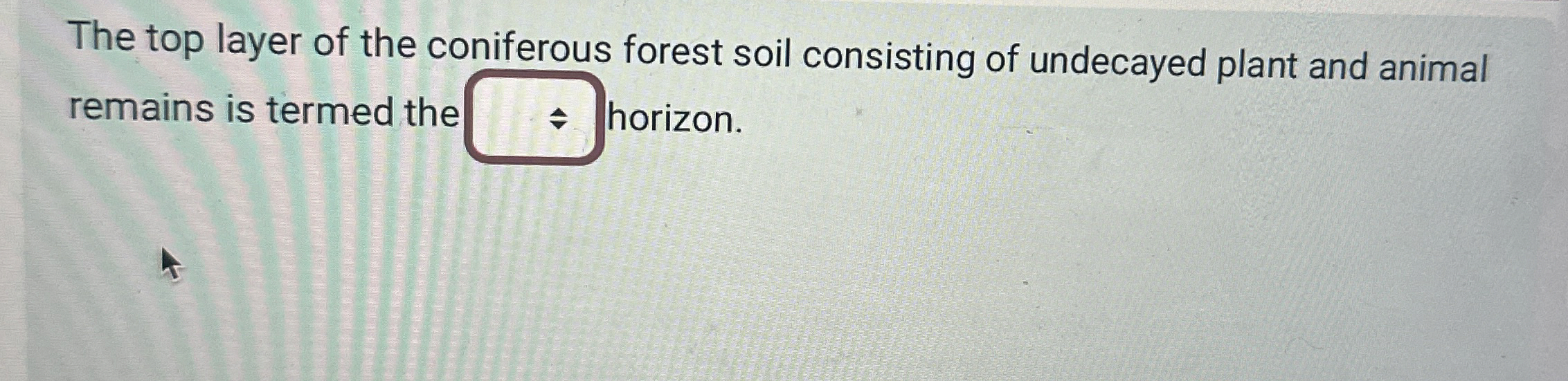 Solved The top layer of the coniferous forest soil | Chegg.com