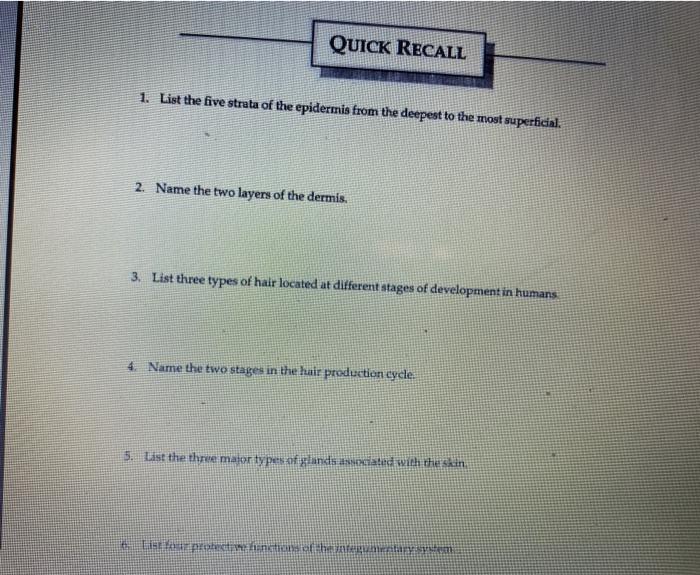Solved QUICK RECALL 1. List the five strata of the epidermis | Chegg.com