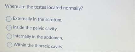 Where are the testes located normally?Externally in | Chegg.com