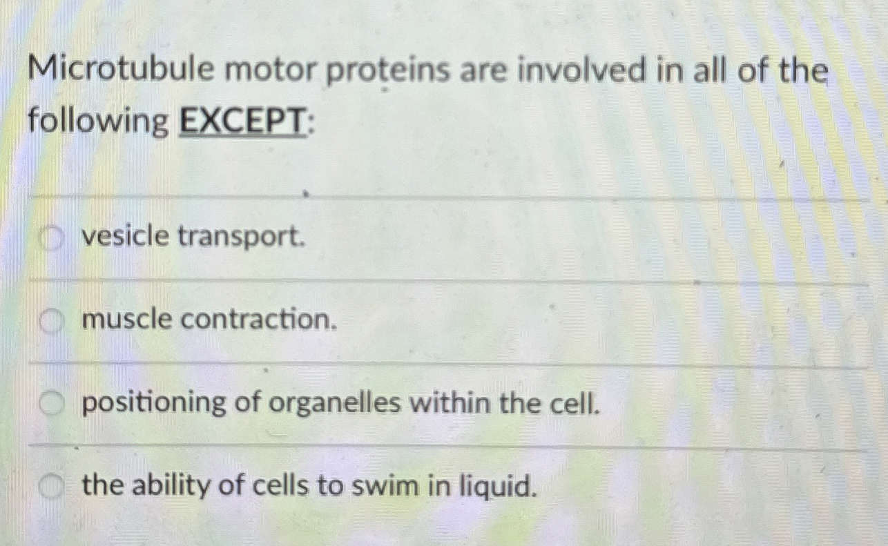 Solved Microtubule motor proteins are involved in all of the | Chegg.com