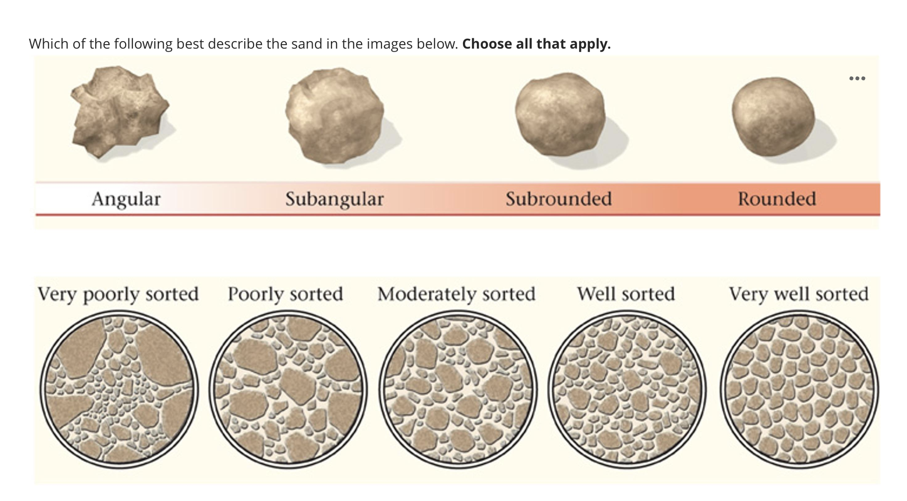 Solved Which of the following best describe the sand in the | Chegg.com
