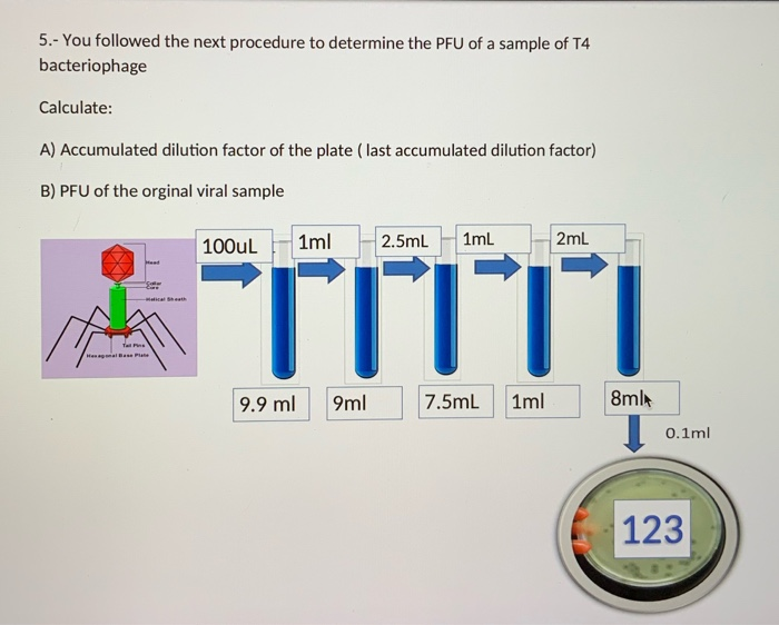 Solved 5.- You followed the next procedure to determine the | Chegg.com