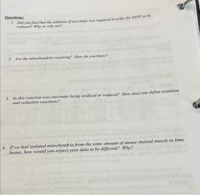 Solved Tahle 5.% Tranewittane Readines of Reduced DPIP Graph | Chegg.com