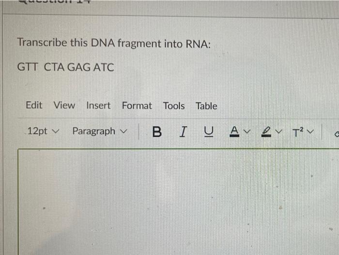 Solved Transcribe this DNA fragment into RNA: GTT CTA GAG | Chegg.com