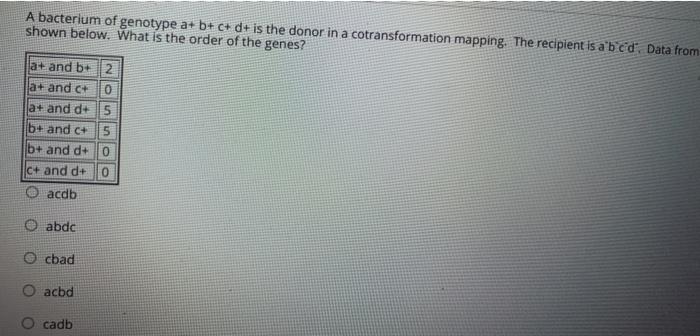 Solved A bacterium of genotype a+b+cde is the donor in a | Chegg.com
