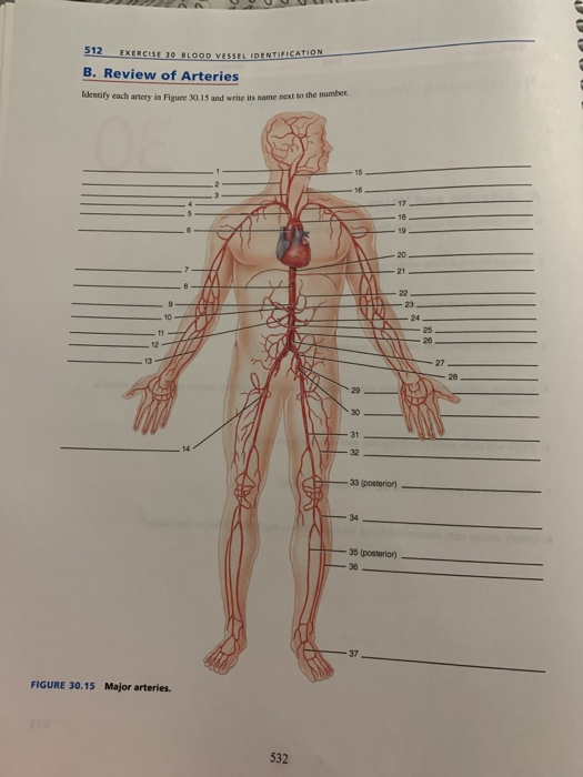 Solved Section Name Date EXERCISE Reviewing Your knowledge | Chegg.com