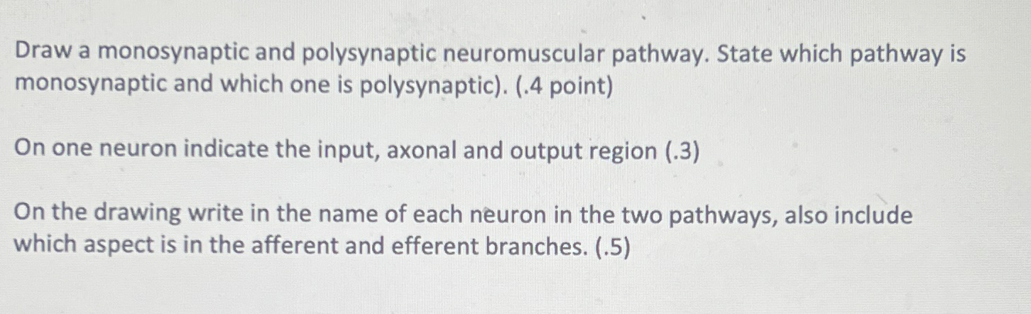 Solved Draw a monosynaptic and polysynaptic neuromuscular | Chegg.com