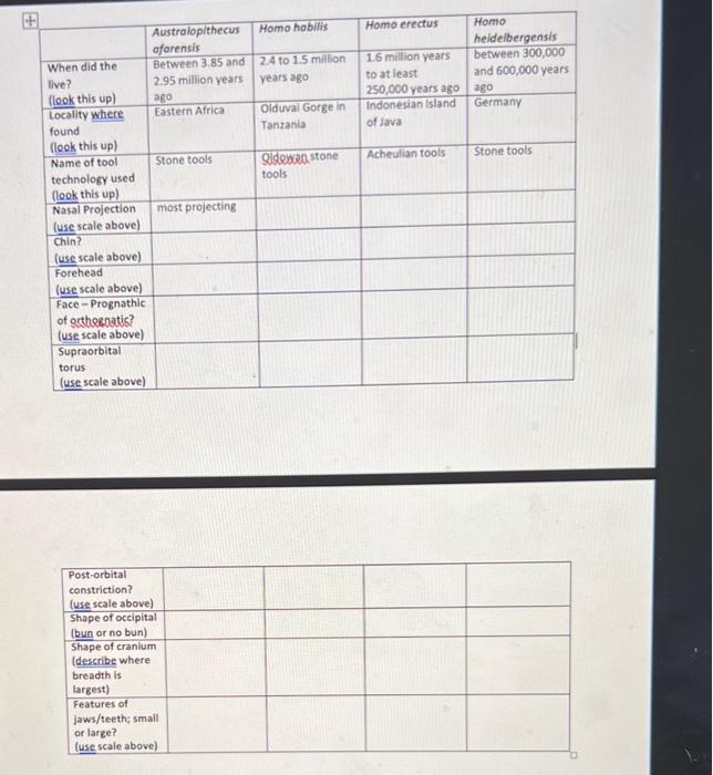 could need some assistance with this table | Chegg.com