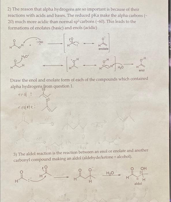 Solved 2) The reason that alpha hydrogens are so important | Chegg.com