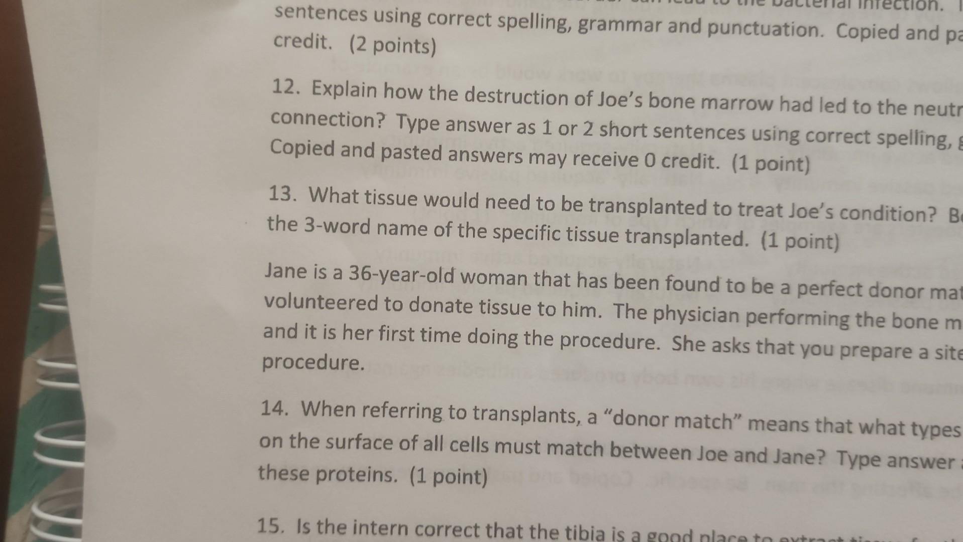 Solved sentences using correct spelling, grammar and | Chegg.com