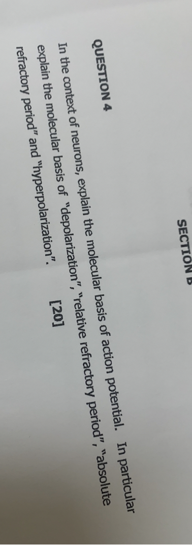 Solved QUESTION 4In the context of neurons, explain the | Chegg.com