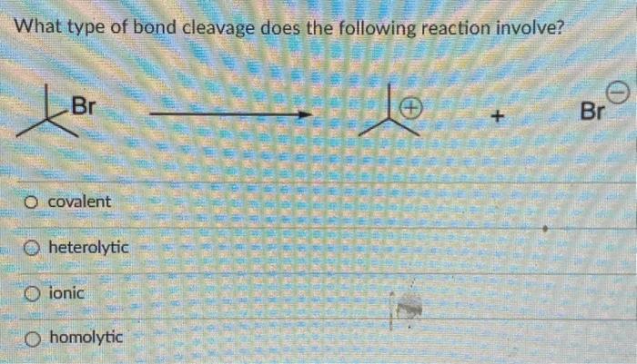 Solved What type of bond cleavage does the following | Chegg.com