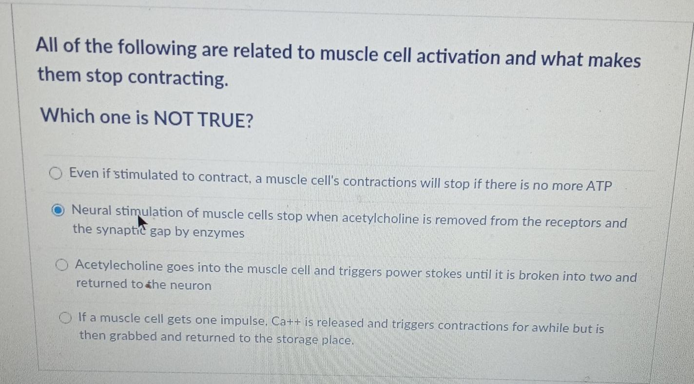 Solved All of the following are related to muscle cell | Chegg.com