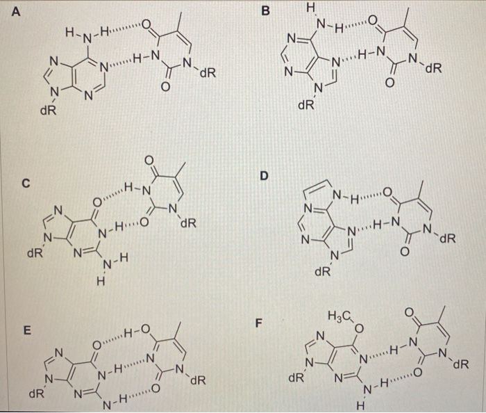 Solved Please identify whether the geometry is watson crick, | Chegg.com