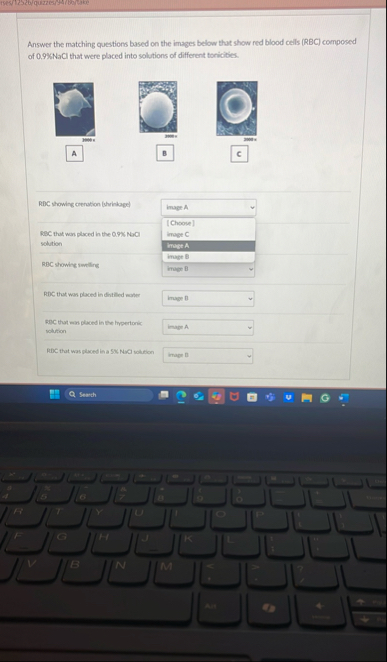 Solved tses/12526/quizes/94/56/ukeAnswer the matching | Chegg.com