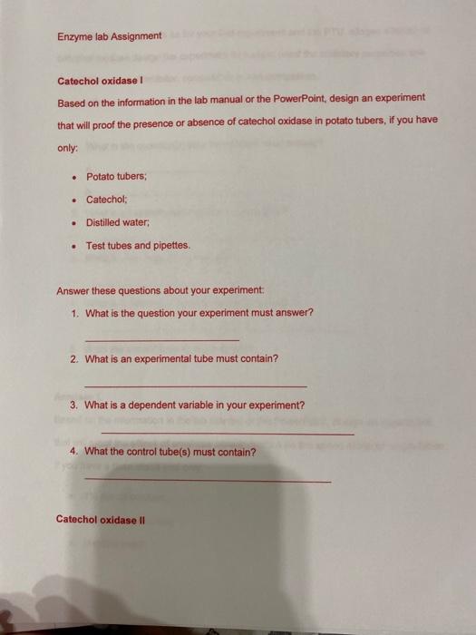 Enzyme lab Assignment Catechol oxidase Based on the | Chegg.com
