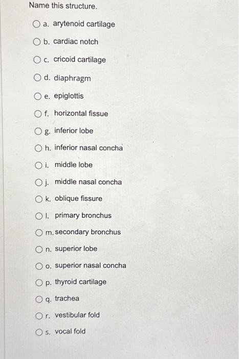 Solved Name this structure.Name this structure. a. arytenoid | Chegg.com