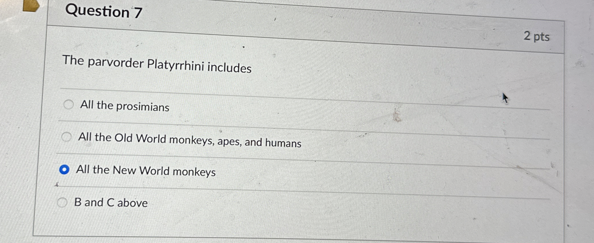 Solved Question 72 ﻿ptsThe parvorder Platyrrhini includesAll | Chegg.com