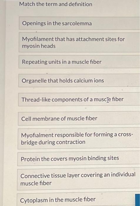 Solved Match the term and definition | Chegg.com