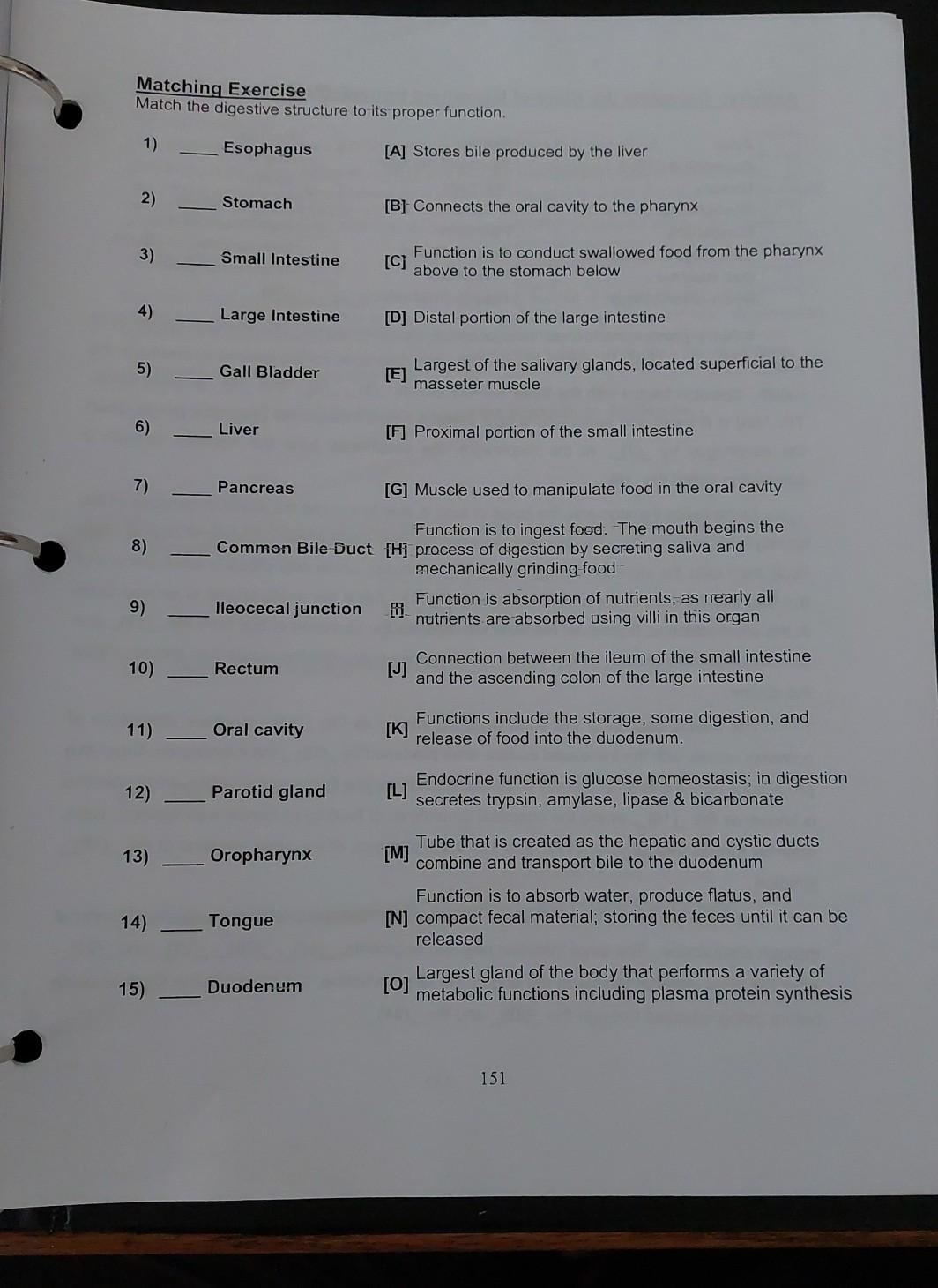 Solved Matching Exercise Match the digestive structure to | Chegg.com