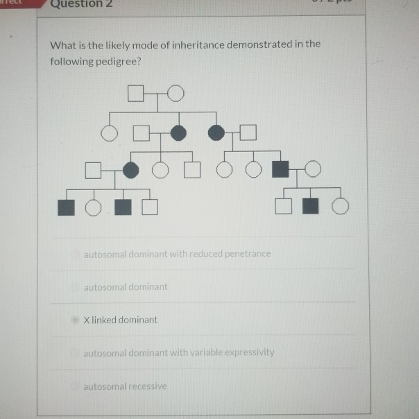 Solved What is the likely mode of inheritance demonstrated | Chegg.com