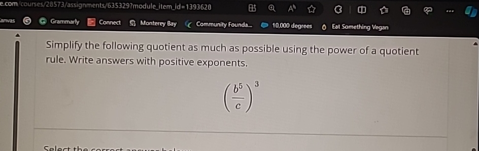 Solved Simplify the following quotient as much as possible | Chegg.com