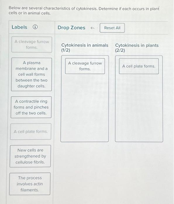 Solved Below are several characteristics of cytokinesis. | Chegg.com