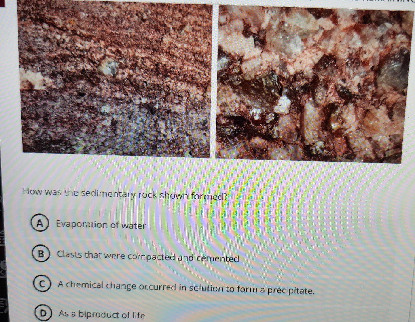 Solved How was the sedimentary rock shown formed? | Chegg.com