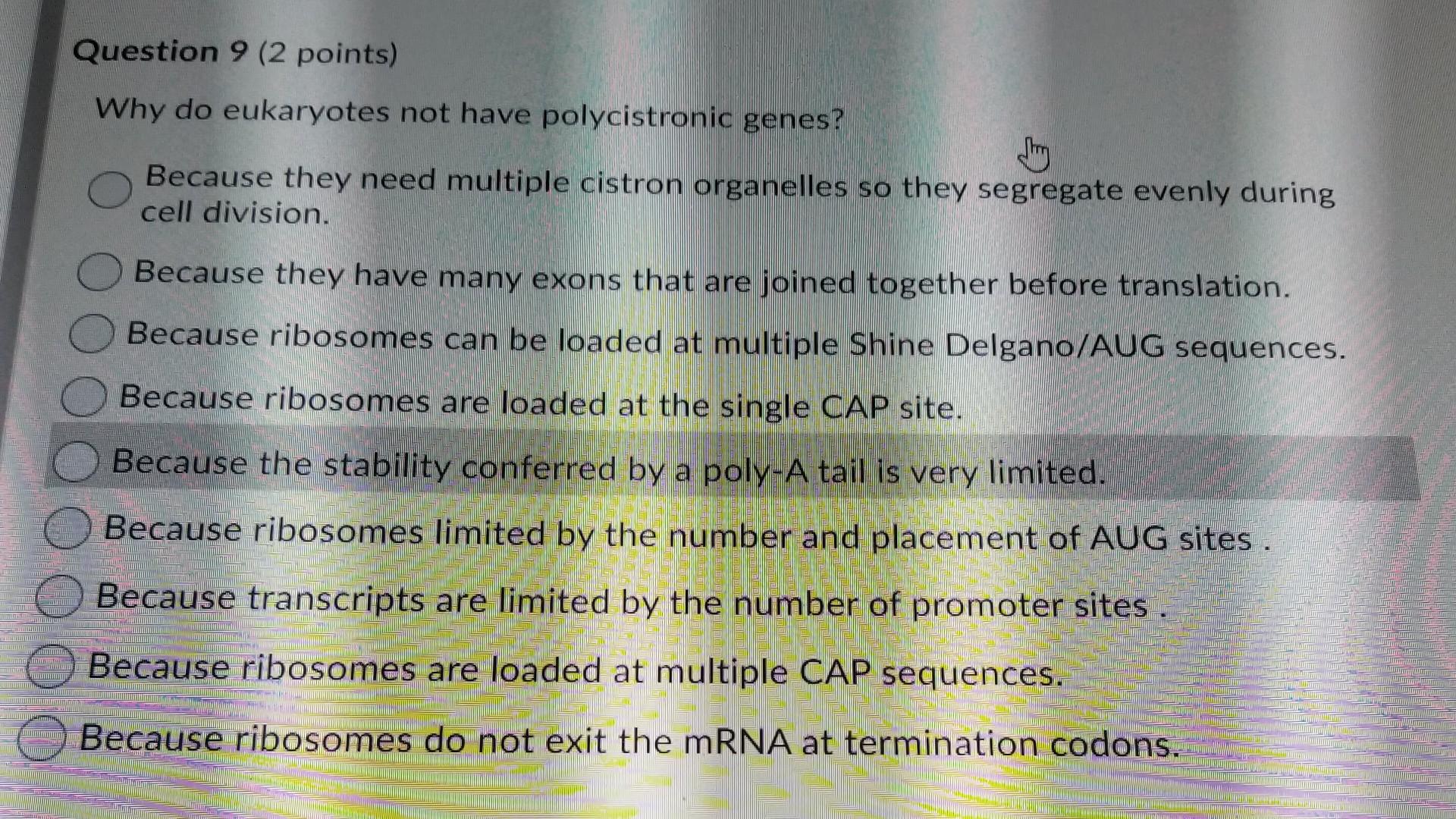 Solved Question 9 (2 points) Why do eukaryotes not have | Chegg.com