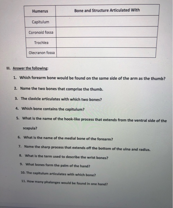 Solved Humerus Bone and Structure Articulated With Capitulum | Chegg.com
