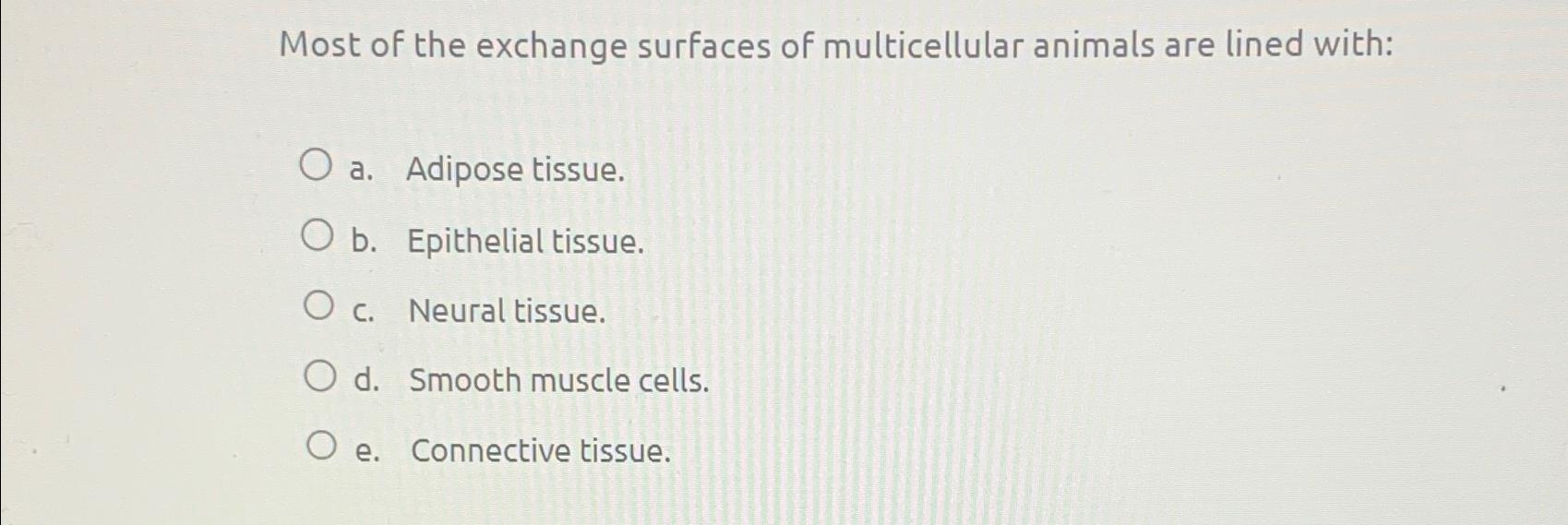 Solved Most of the exchange surfaces of multicellular | Chegg.com