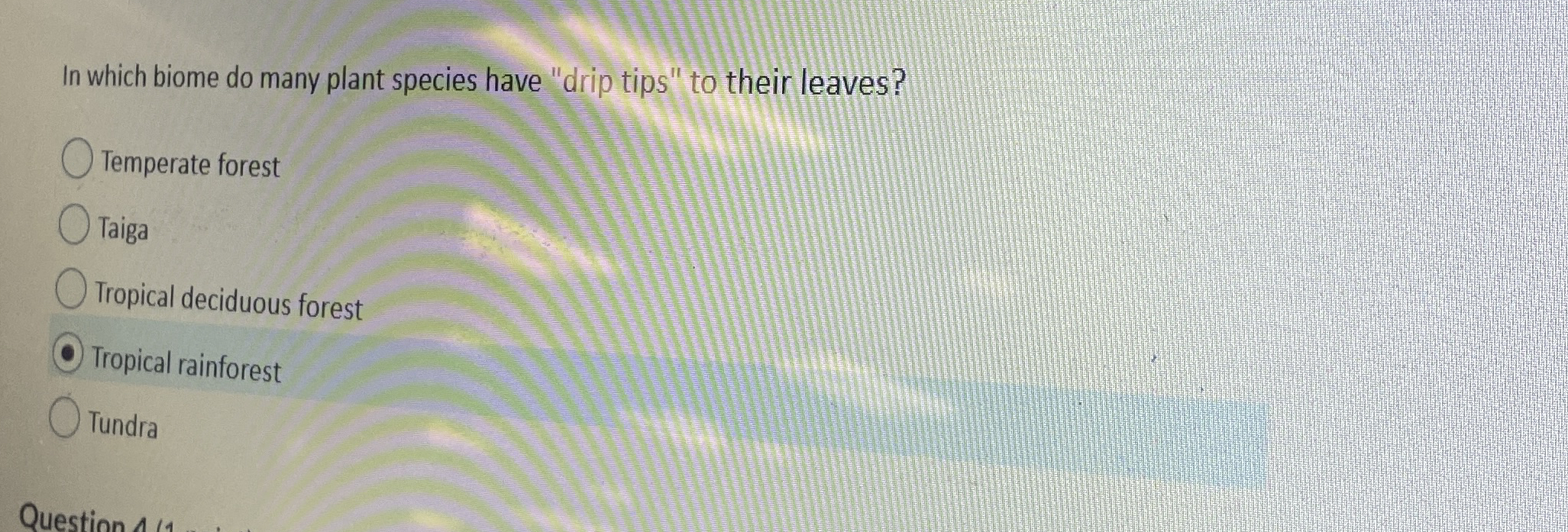 Solved In which biome do many plant species have "drip tips" | Chegg.com