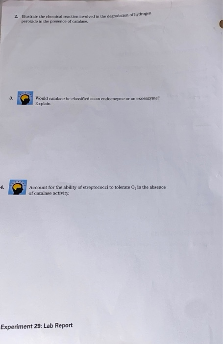 Solved Observations and Results PRESENCE OR ABSENCE OF | Chegg.com