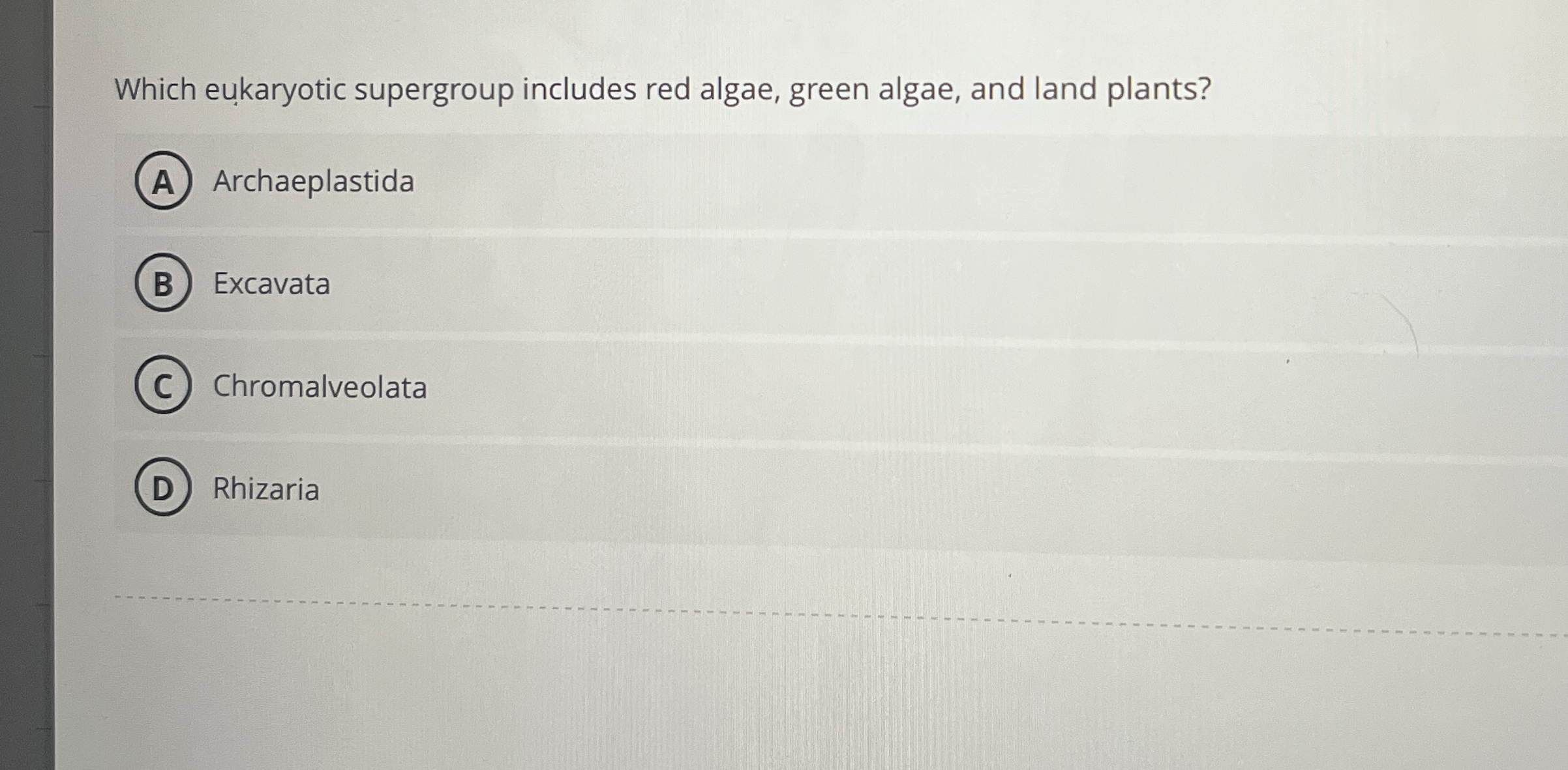 Solved Which eukaryotic supergroup includes red algae, green | Chegg.com