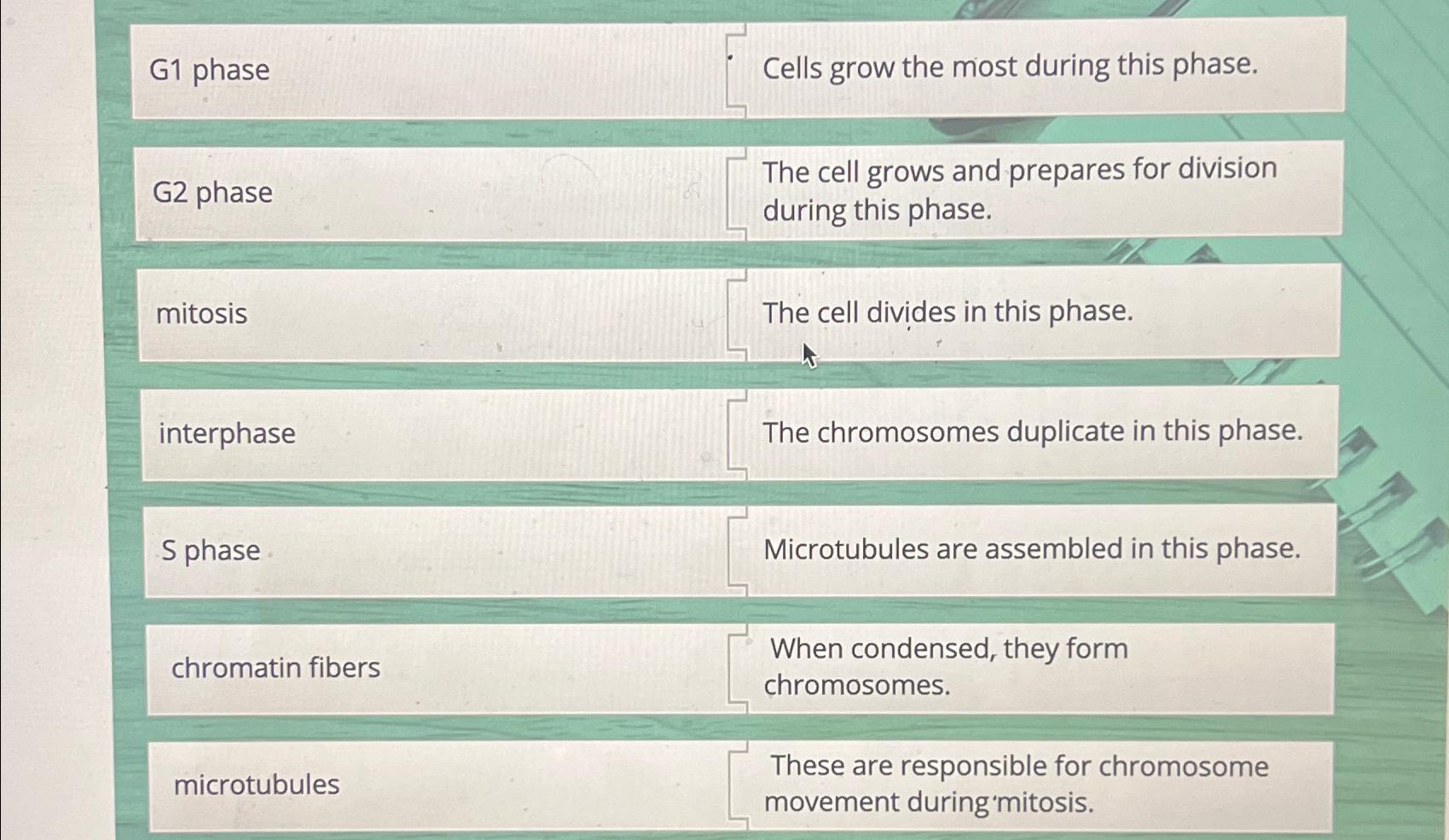 Solved G1 ﻿phaseCells grow the most during this phase.G2 | Chegg.com