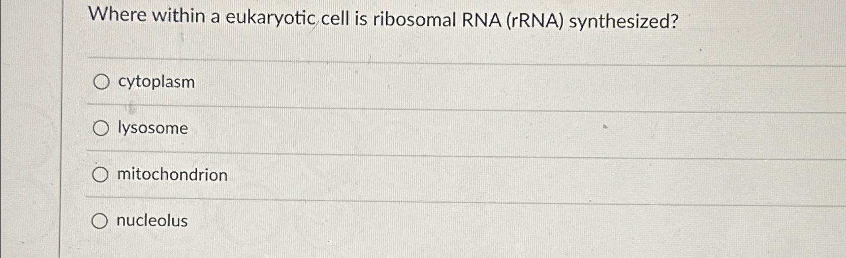 Solved Where within a eukaryotic cell is ribosomal RNA | Chegg.com