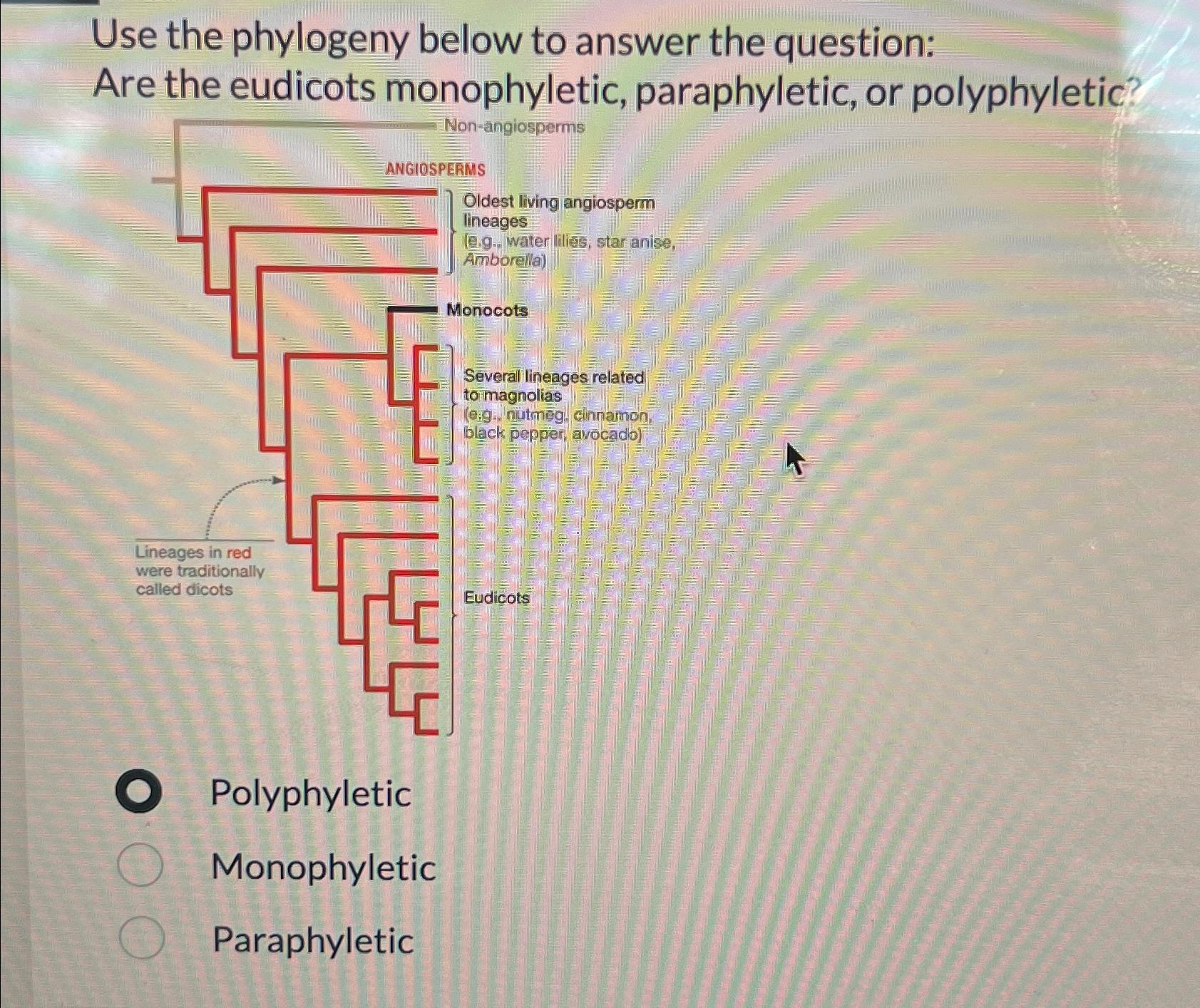 Solved Use the phylogeny below to answer the question:Are | Chegg.com