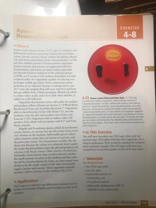 Selective and Differential Media Assignment Worksheet | Chegg.com