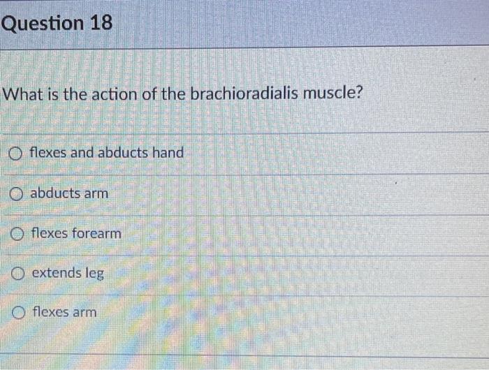Solved Question 18 What is the action of the brachioradialis | Chegg.com