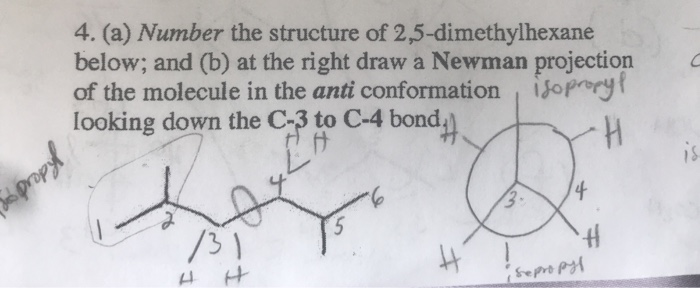 Solved 4. (a) Number the structure of 2,5-dimethylhexane | Chegg.com