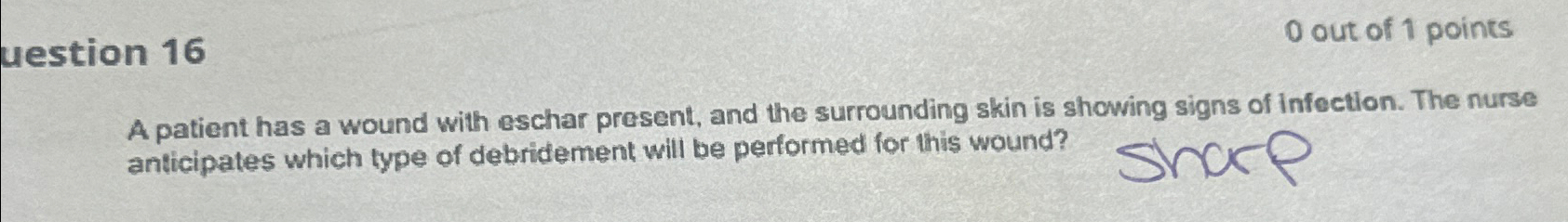 Solved uestion 160 ﻿out of 1 ﻿pointsA patient has a wound | Chegg.com