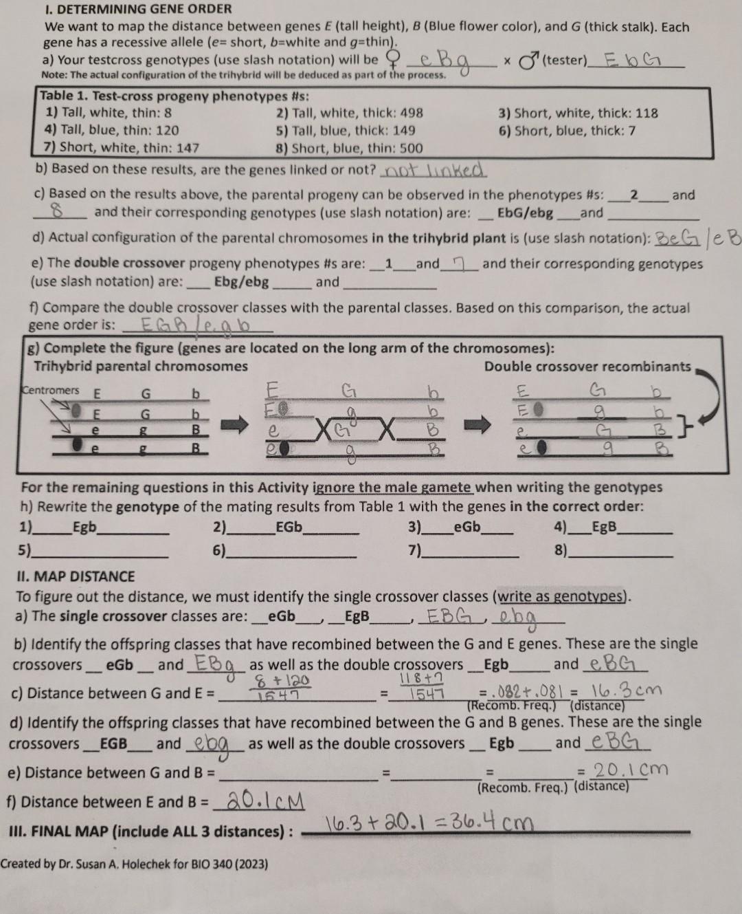 Solved I. DETERMINING GENE ORDER We want to map the distance | Chegg.com