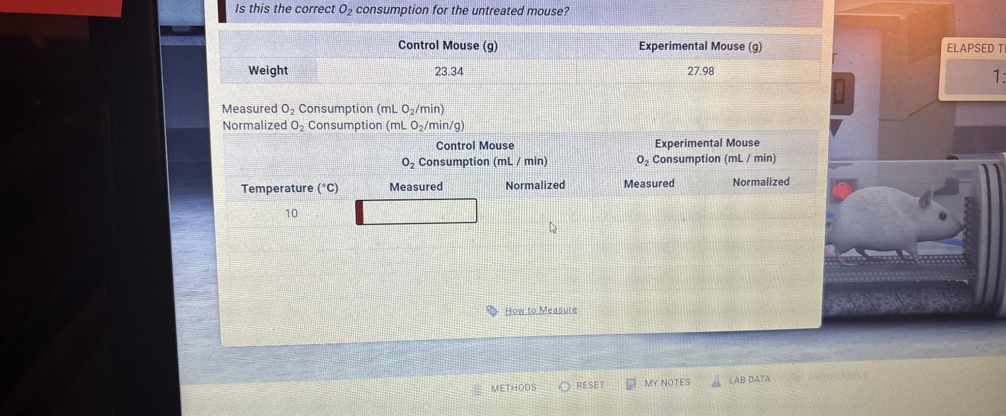 Solved Is this the correct O2 ﻿consumption for the untreated | Chegg.com