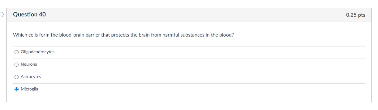 Solved Question 40Which cells form the blood-brain barrier | Chegg.com