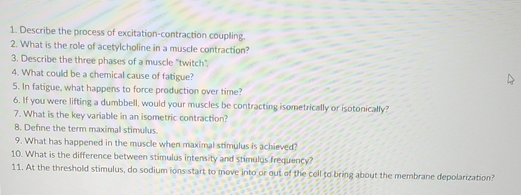 Solved 1. Describe the process of excitation-contraction | Chegg.com