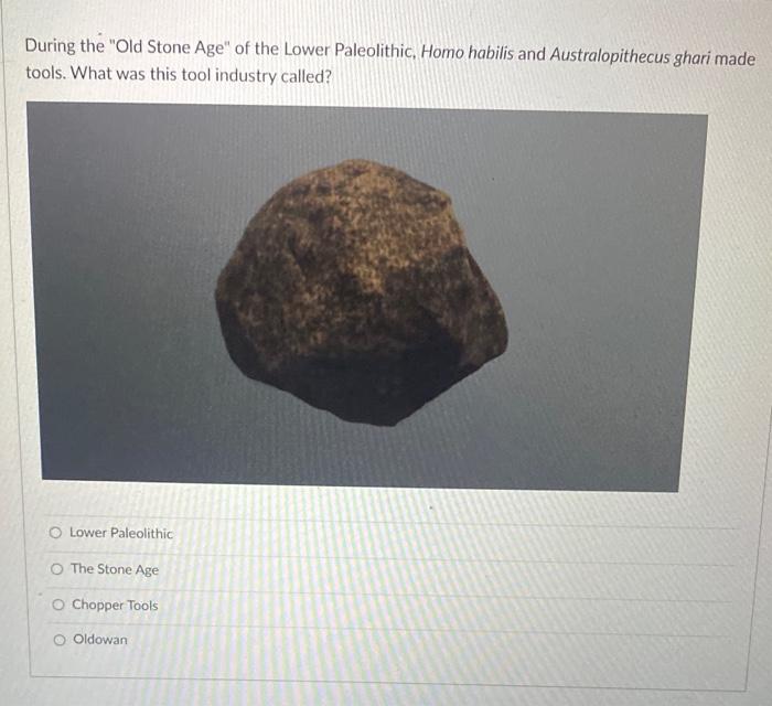 During the "Old Stone Age" of the Lower Paleolithic, | Chegg.com