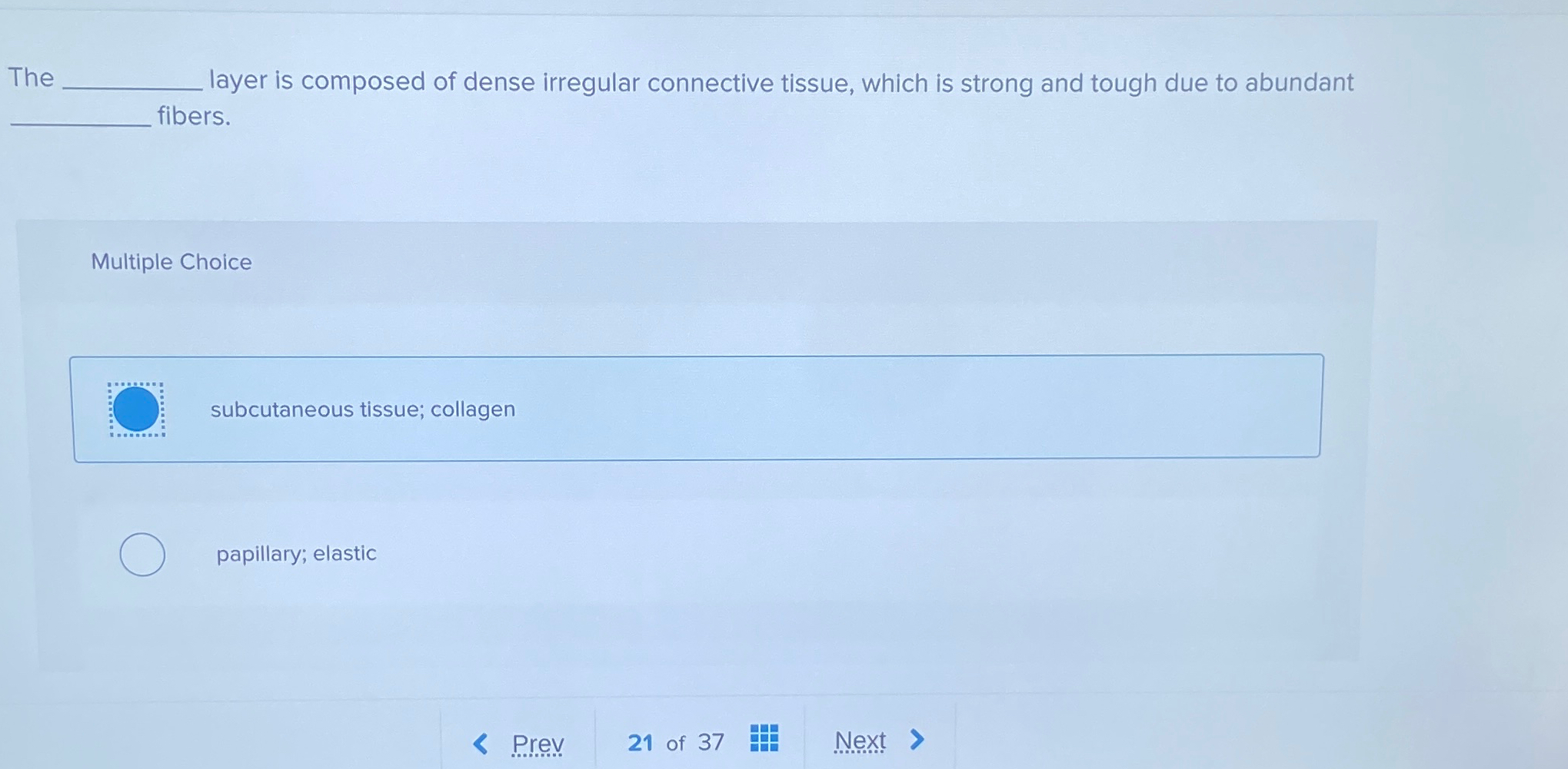 Solved The ﻿layer is composed of dense irregular | Chegg.com